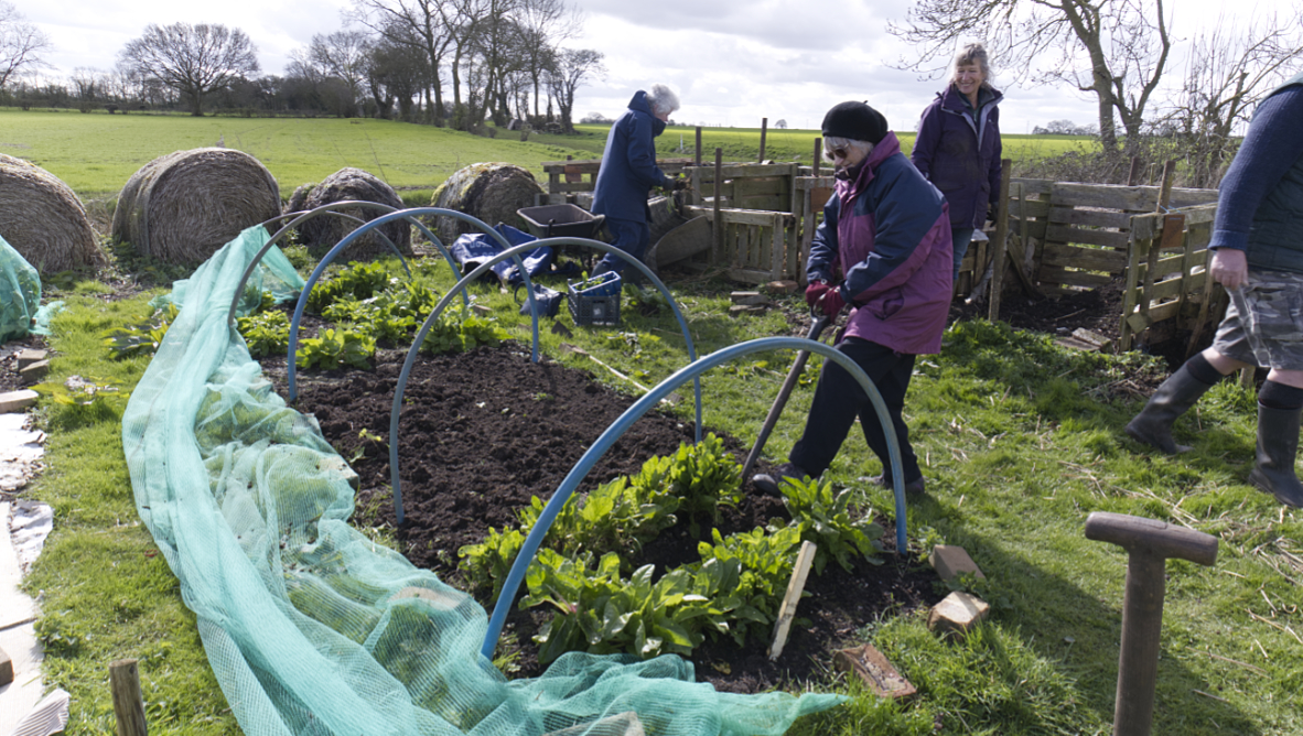 The end of March. | Diss Community Farm